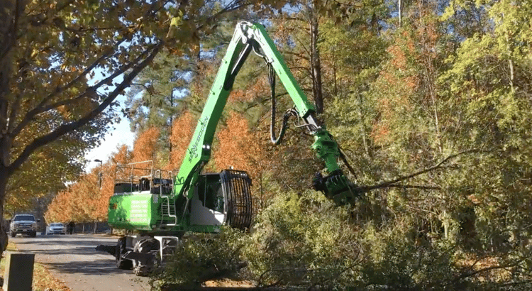 SENNEBOGEN 718 vs. a Crane for Tree Removal
